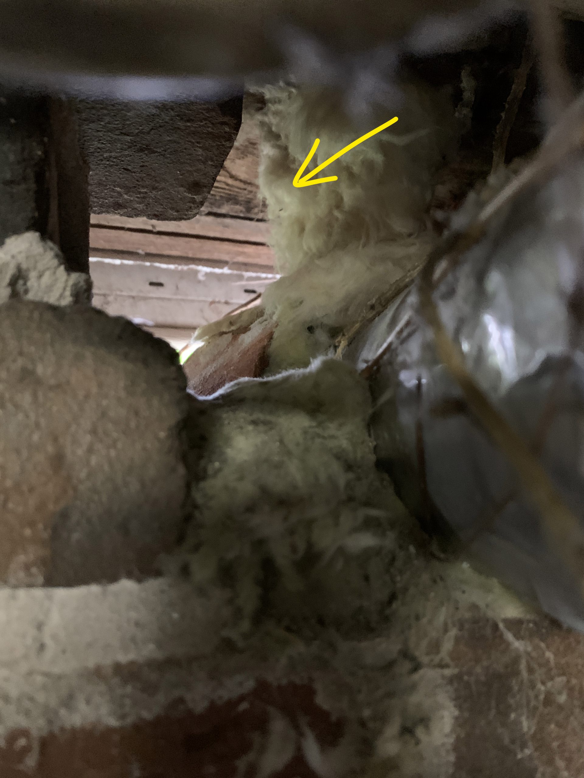 Fixing gaps to prevent mice... - Verdant Pest Control